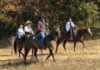 About The Ranch | RS Ranch Trail Rides